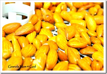 Soaking and Sprouting Almonds - Jodi McKennaJodi McKenna